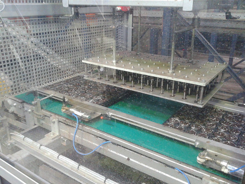 Ligne de repiquage manuelle - VISSER